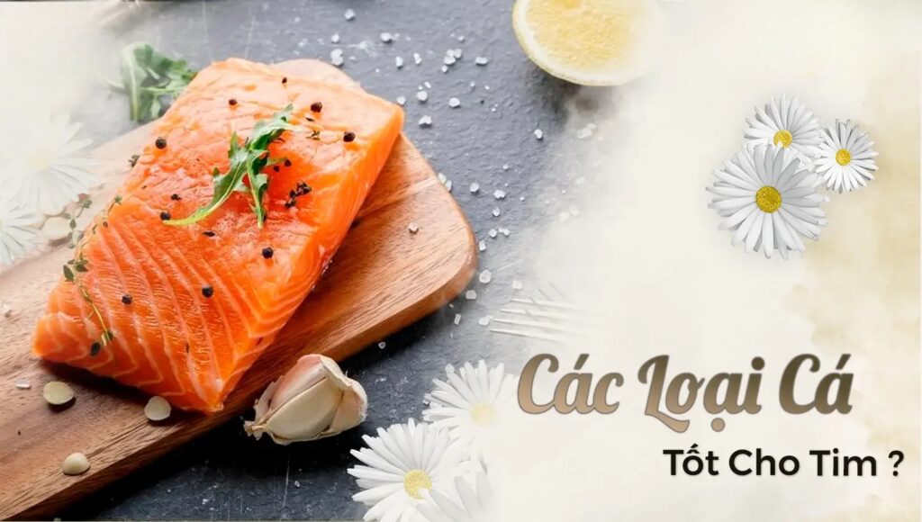 Ăn cá tốt cho tim mạch: lợi ích không thể bỏ qua - Dr Trang